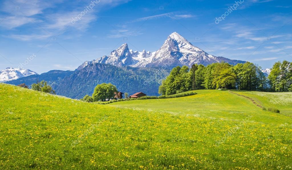 Idyllic landscape in the Alps with fresh green meadows Stock Photo by ...