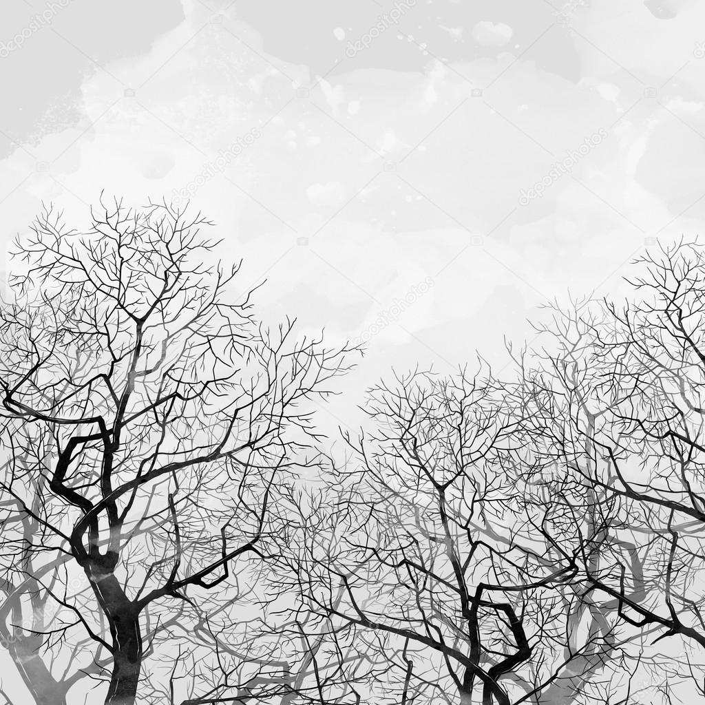 Bare Trees Wallpaper
