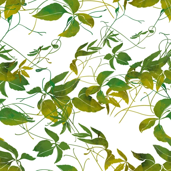 Seamless grape vine pattern — Stock Photo © Chevnenko #118475922