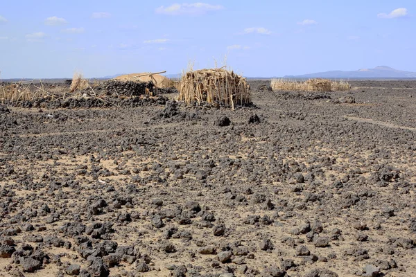 Dry landscape in the Danakil desert-Ethiopia. 0188 Stock Photo by ...