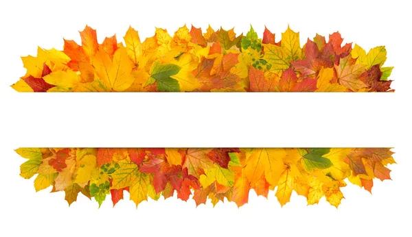 Fall borders Stock Photos, Royalty Free Fall borders Images | Depositphotos