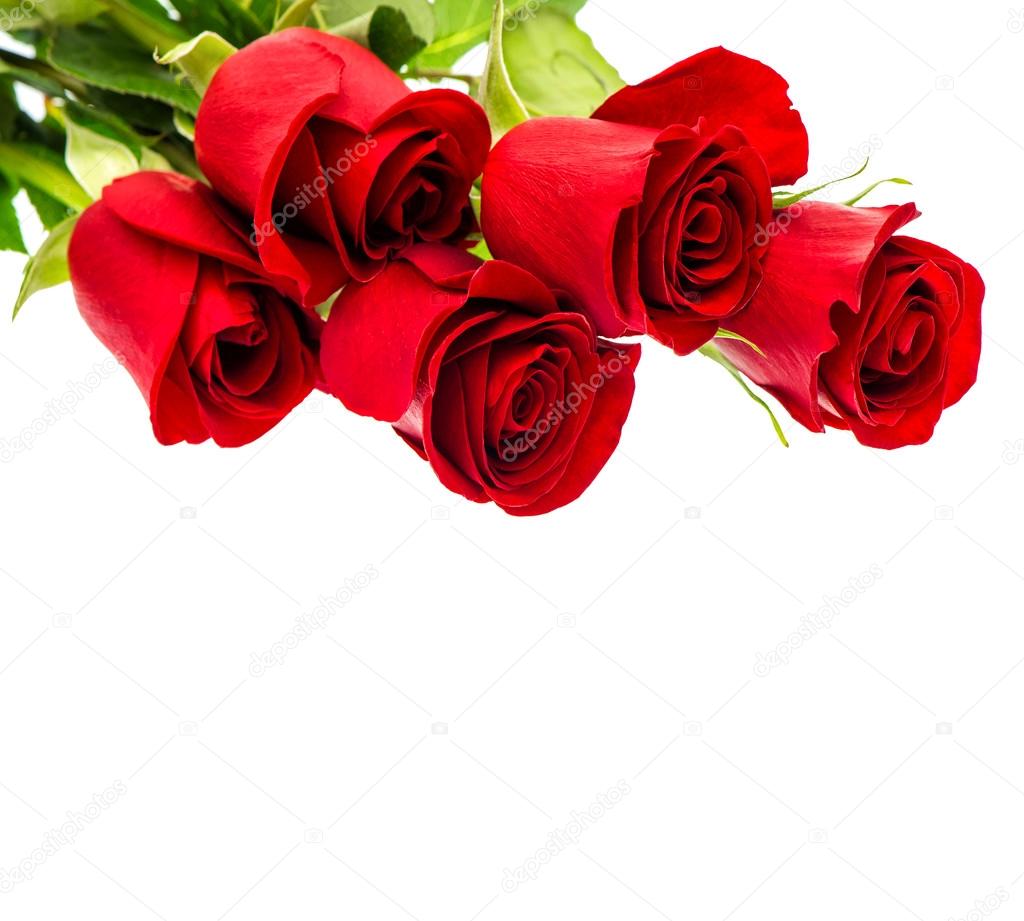 Red roses isolated on white background. Bouquet fresh flowers Stock ...