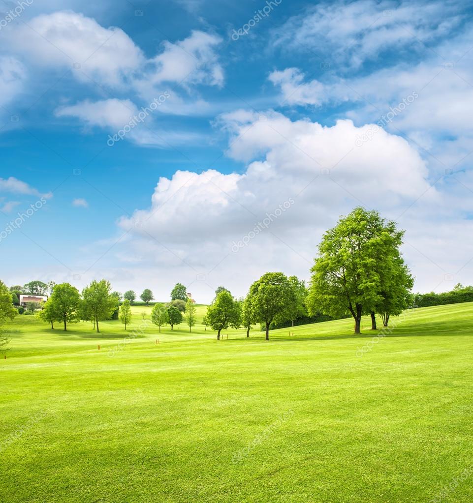 Beautiful european landscape. Spring field with green grass Stock Photo ...