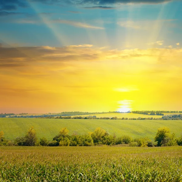 Sunrise over farmland Stock Photos, Royalty Free Sunrise over farmland ...