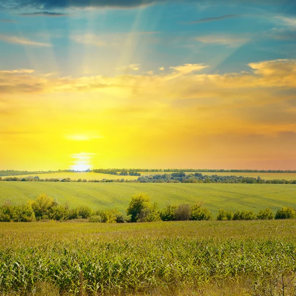 Sunrise over farmland Stock Photos, Royalty Free Sunrise over farmland ...