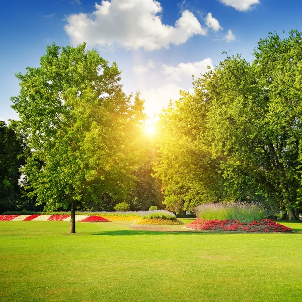 Summer park with beautiful flowerbeds Stock Photo by ©Alinamd 104241500