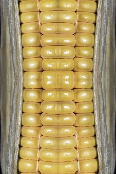 Computer corn field Stock Photos, Royalty Free Computer corn field ...