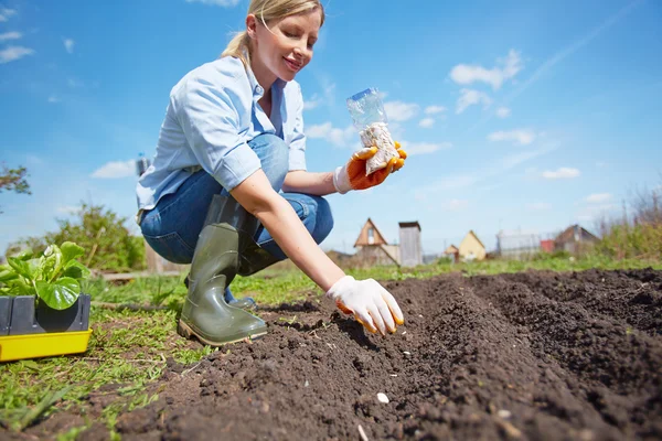 Female farmer sowing seed - Stock Image - Everypixel