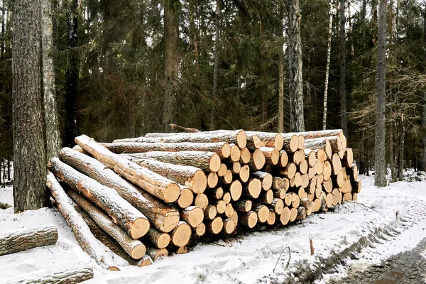 Winter logging Stock Photos, Royalty Free Winter logging Images ...