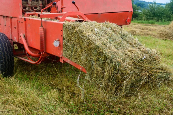 Old bale press, hay harvesting in the village for cattle, press work ...