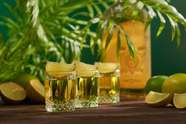 Paisaje de tequila Stock Photos, Royalty Free Paisaje de tequila Images ...