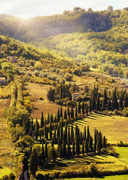 Italy countryside Stock Photos, Royalty Free Italy countryside Images ...