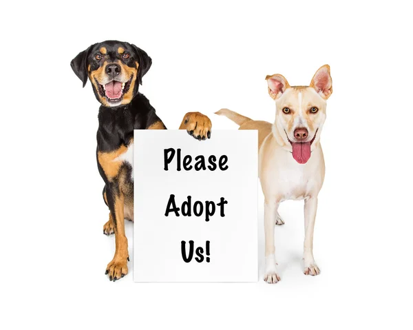 Adopt sign Pictures, Adopt sign Stock Photos & Images | Depositphotos®