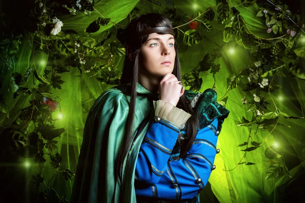 Fantasy elf man Stock Photos, Royalty Free Fantasy elf man Images ...