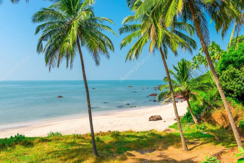 White sand beach and palm trees on a deserted island — Stock Photo ...