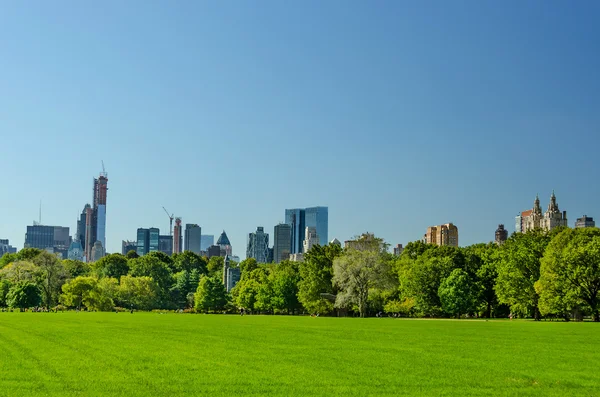 El parque de la ciudad fotos de stock, imágenes de El parque de la ...