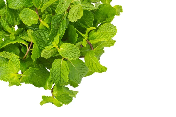 Mint leaves png Stock Photos, Royalty Free Mint leaves png Images ...