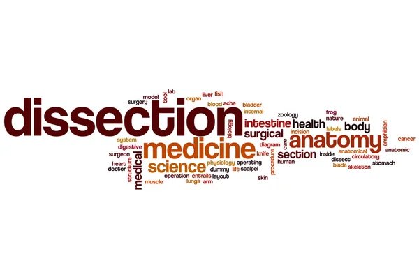 Frog dissection Stock Photos, Royalty Free Frog dissection Images ...