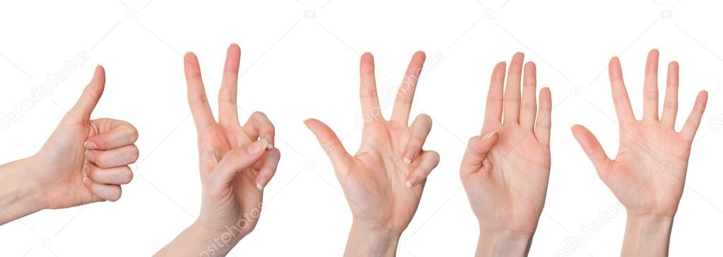 Female hands counting from one to five Stock Photo by ©ibreakstock ...