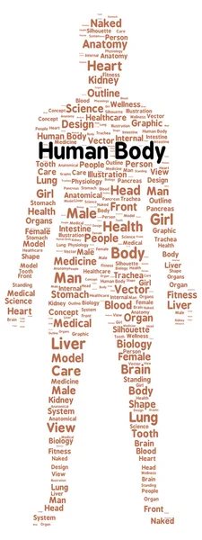 Human body part Stock Photos, Royalty Free Human body part Images ...