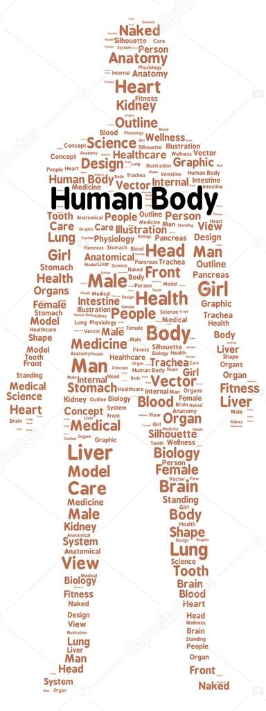 Human body word cloud shape — Stock Photo © ibreakstock #100465688