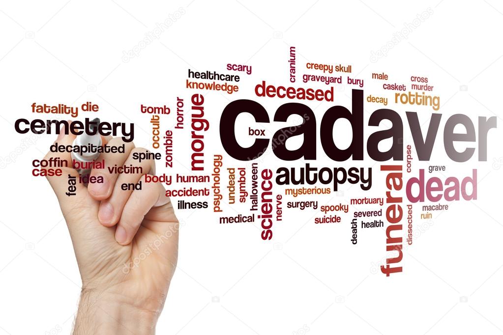 Cadaver word cloud Stock Photo by ©ibreakstock 105204872