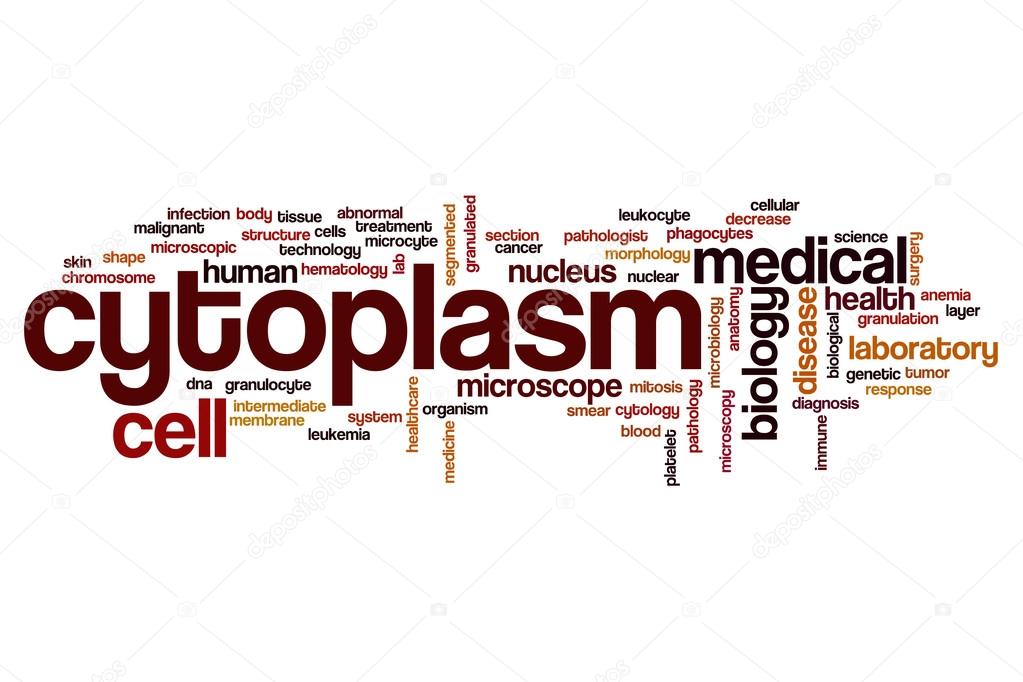 Cytoplasm word cloud Stock Photo by ©ibreakstock 122697402