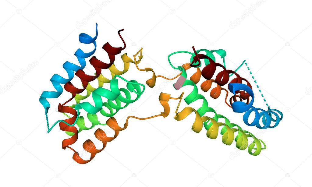 Estructura de la interleucina humana-10, modelo de dibujos animados 3D ...