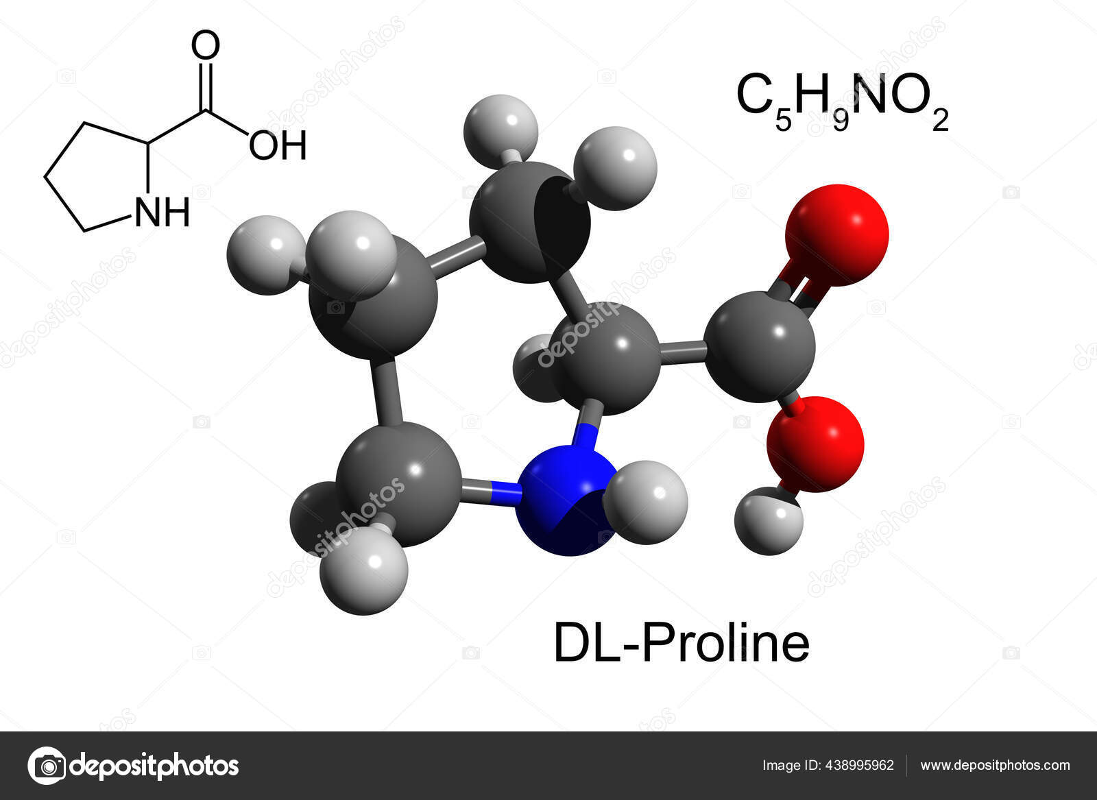 Proline Structure Amino Acid