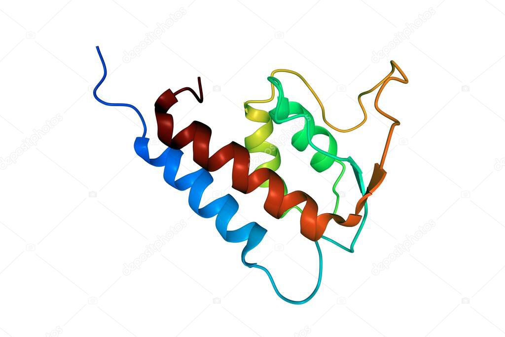 Estructura de la interleucina humana-13, modelo de dibujos animados 3D ...