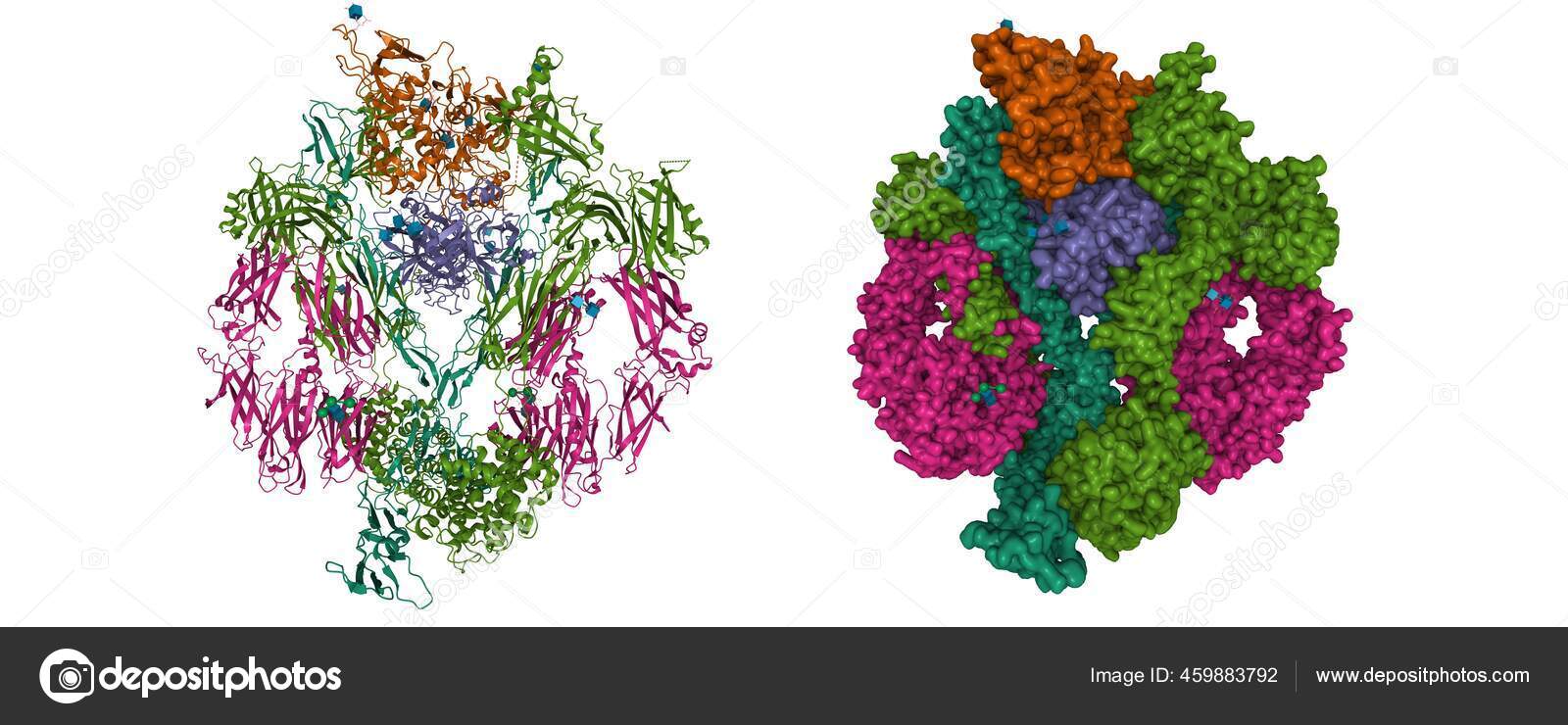 Structure Complement Complex Cartoon Gaussian Surface Models ...