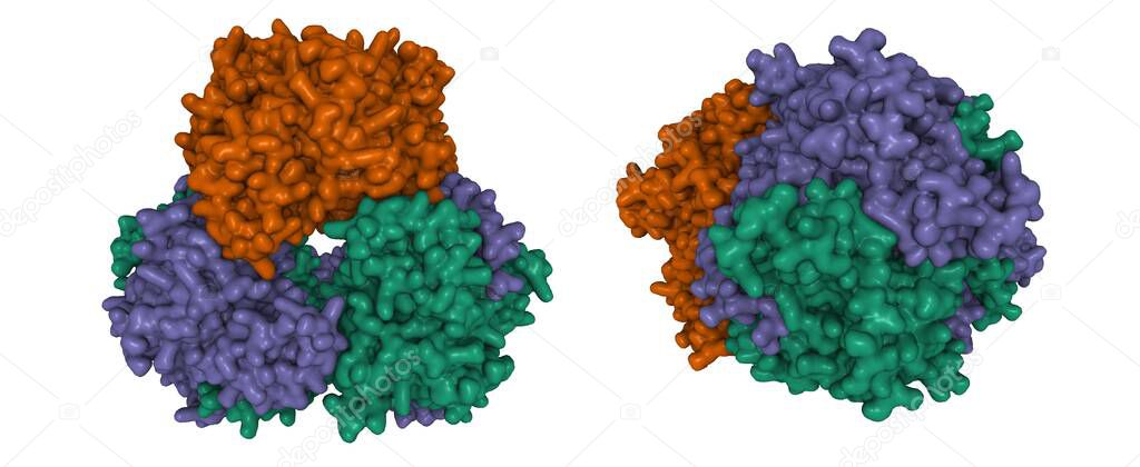 Nsan Bleomisin Hidrolaz Yapısı Iki Mor Projeksiyonlu Gaussian Yüzey ...