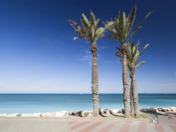 Alicante spain winter Stock Photos, Royalty Free Alicante spain winter ...