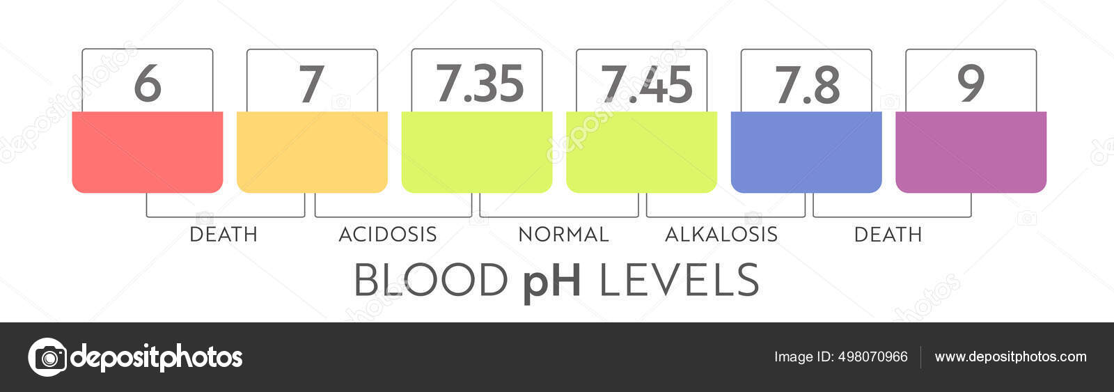 Human blood ph range. Stock Vector Image by ©Kandella #498070966