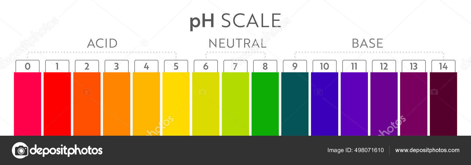 PH Value scale chart. Stock Vector Image by ©Kandella #498071610