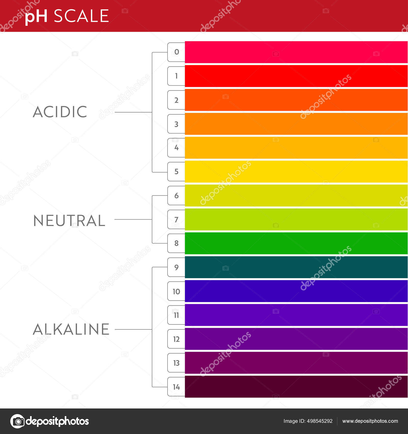 PH Value scale chart. Stock Vector Image by ©Kandella #498545292