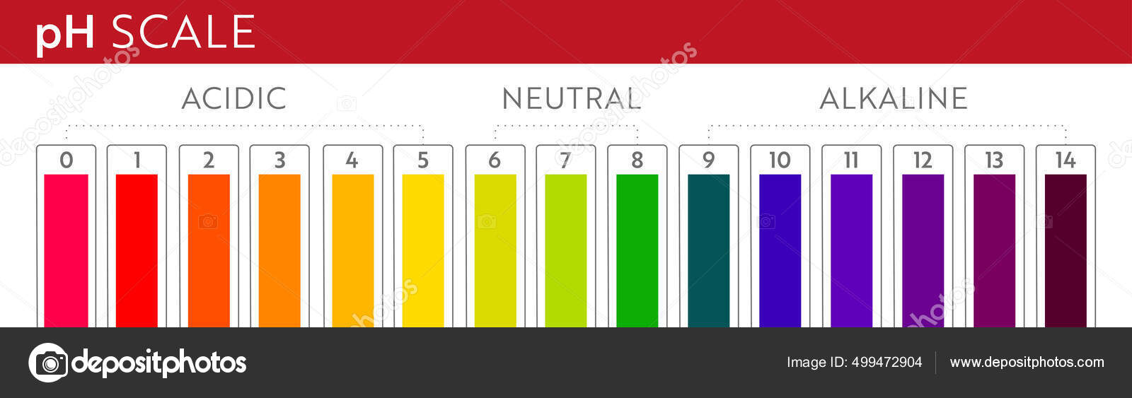 PH-Wert Skala. Stock-Vektorgrafik von ©Kandella 499472904