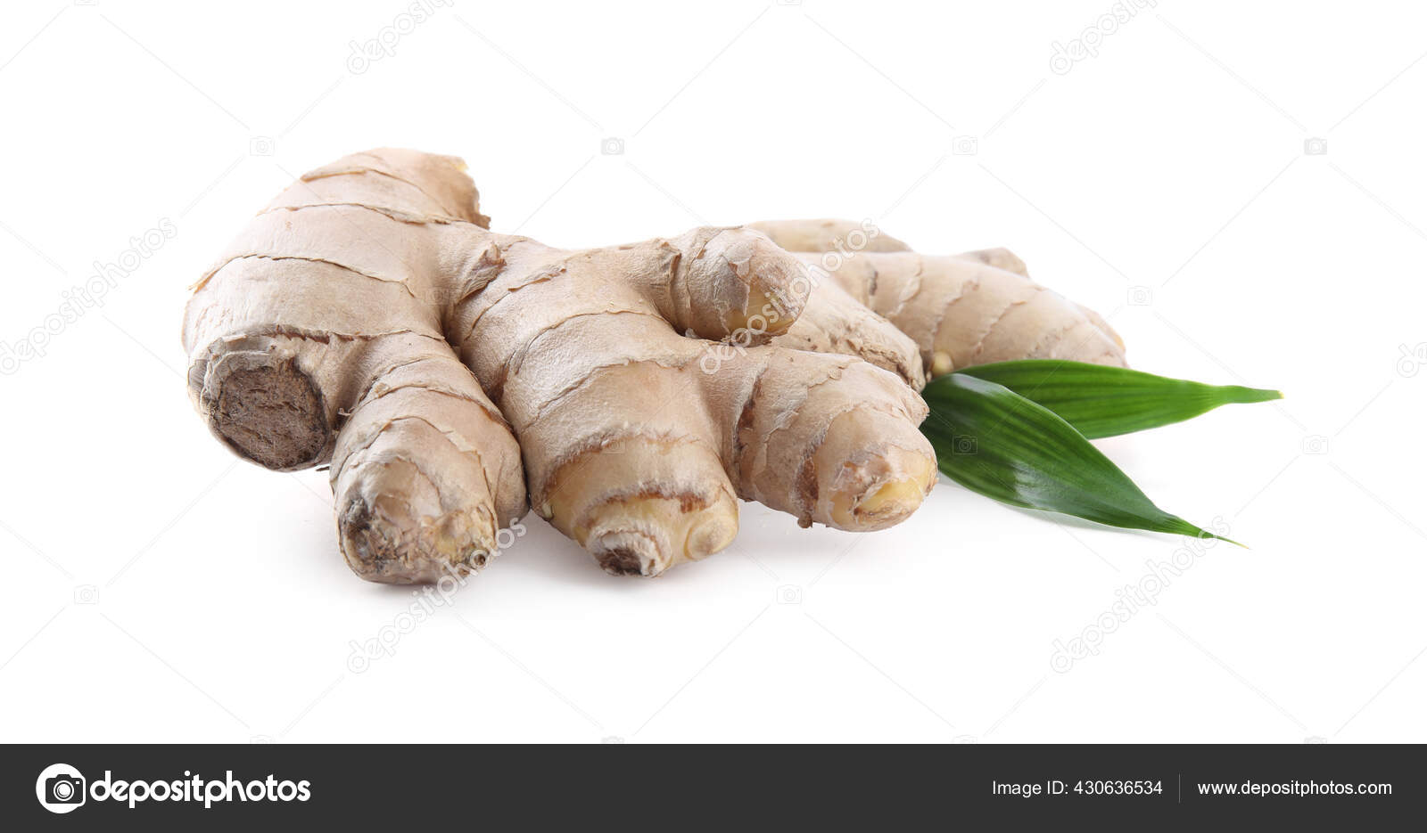 Whole Fresh Ginger Leaves Isolated White Background — Stock Photo ... Whole Fresh Ginger Leaves Isolated White Background — Stock Photo ...