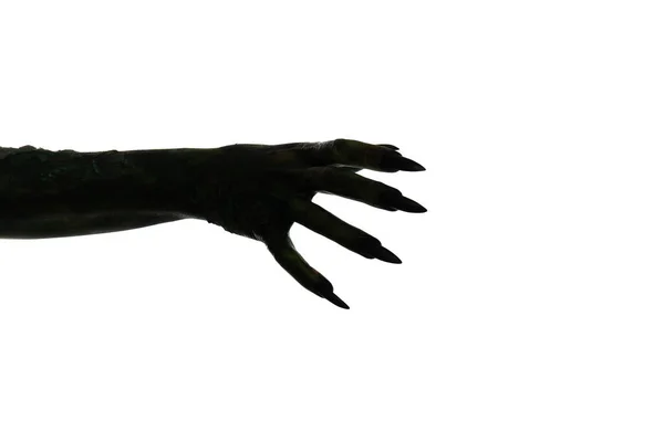Scary Monster White Background Closeup Hands Halloween Character Stock ...