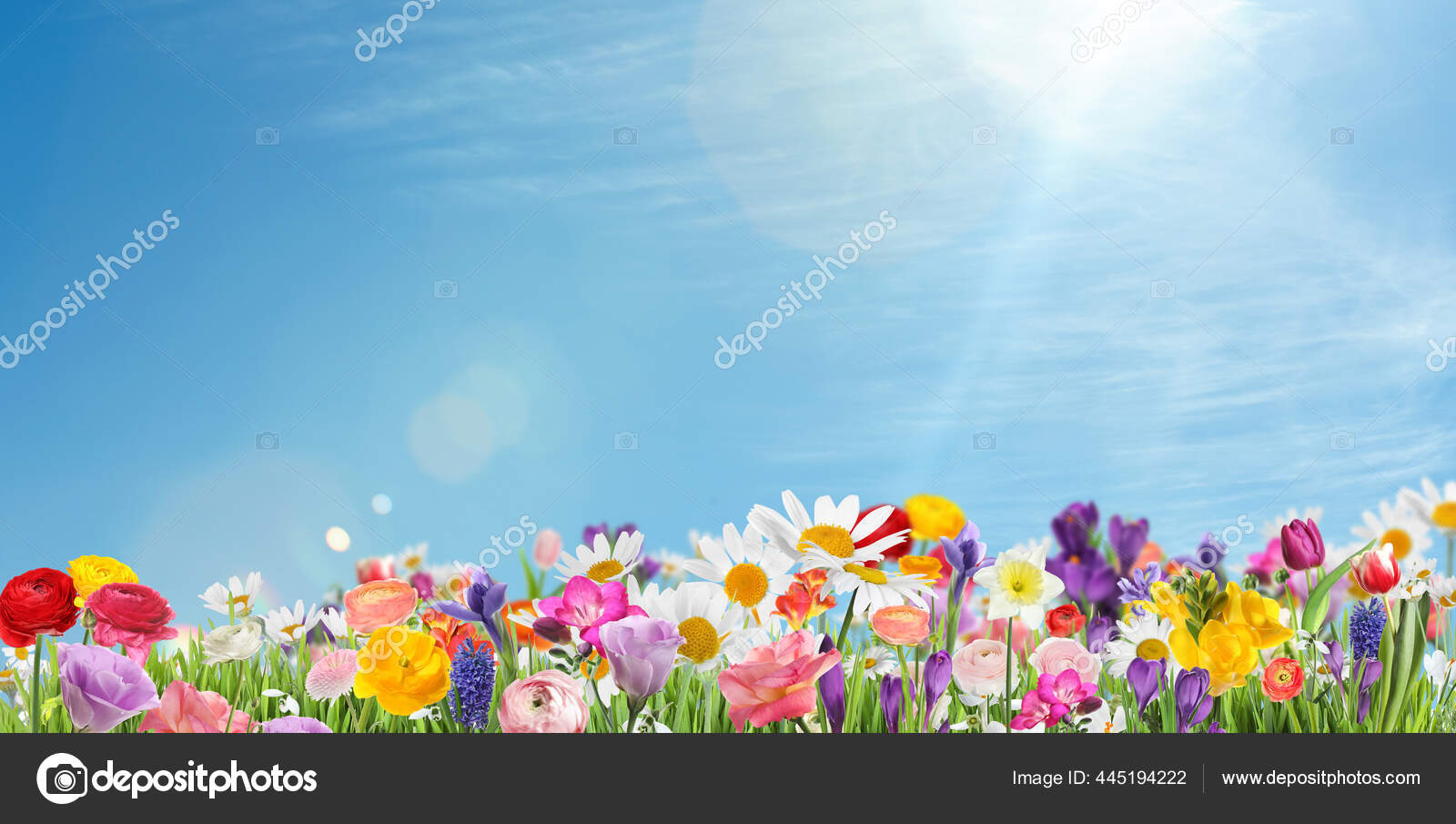 Many Beautiful Spring Flowers Outdoors Sunny Day Banner Design Stock ...