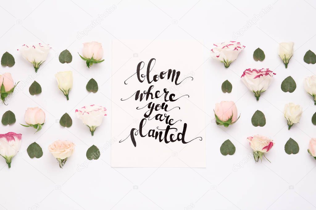 Marco de hermosas flores y tarjeta de papel con texto manuscrito Bloom ...