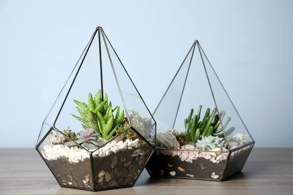 Diy planters Stock Photos, Royalty Free Diy planters Images | Depositphotos