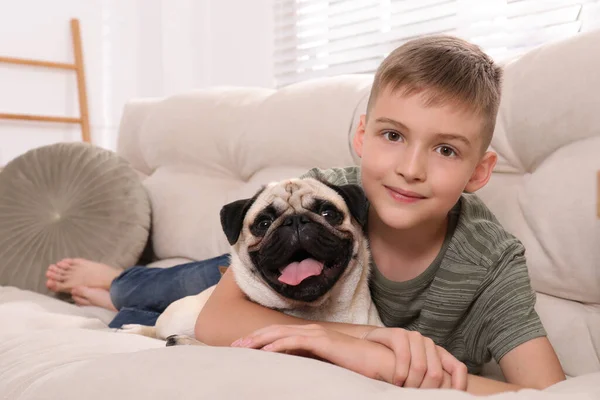 Boy His Cute Pug Window Indoors Back View Space Text Stock Photo by ...