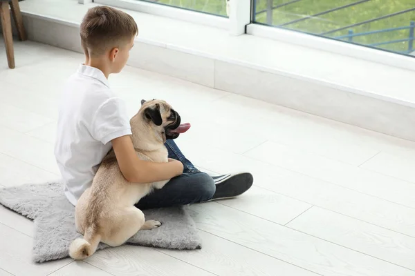 Boy His Cute Pug Window Indoors Back View Space Text Stock Photo by ...