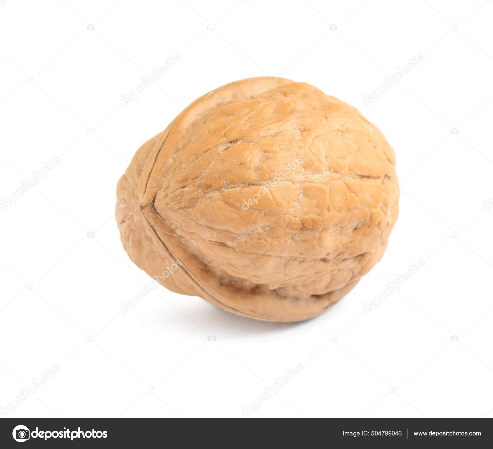 Whole Walnut Shell
