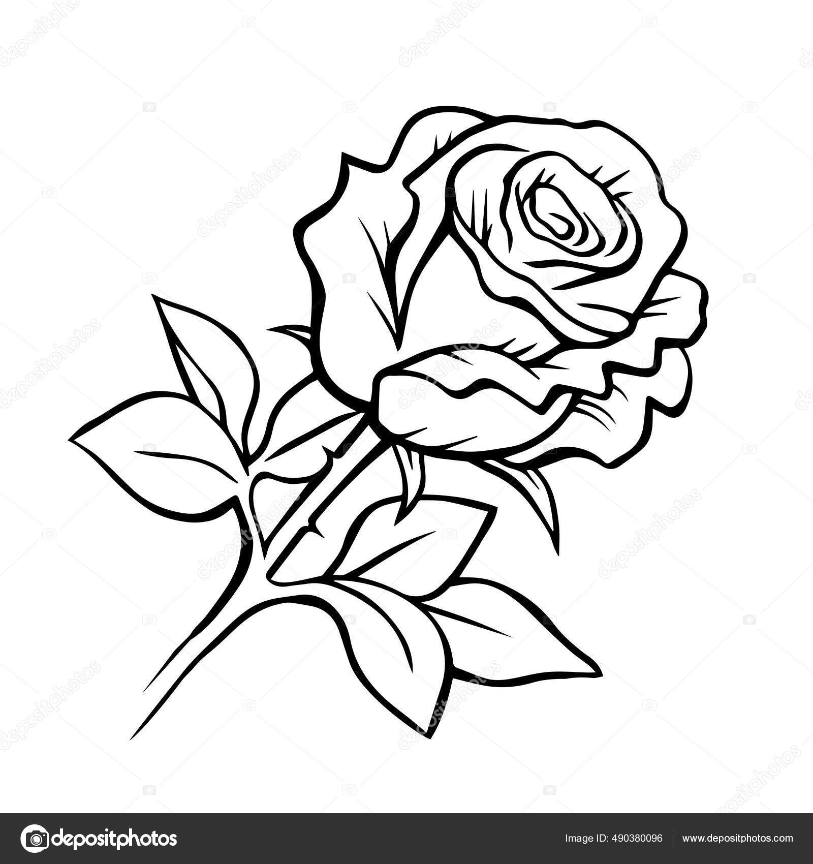 Cartoon Rose Black And White