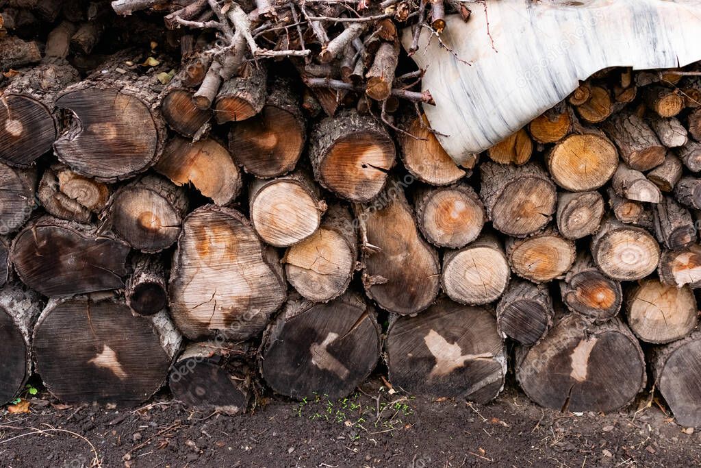 Leña preparada para la parrilla y la estufa. Troncos de árbol gruesos y ...