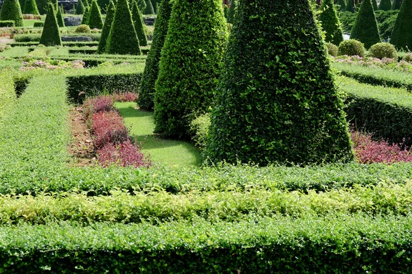 Garden path with topiary landscape Stock Photo by ©ponsulak 93548798