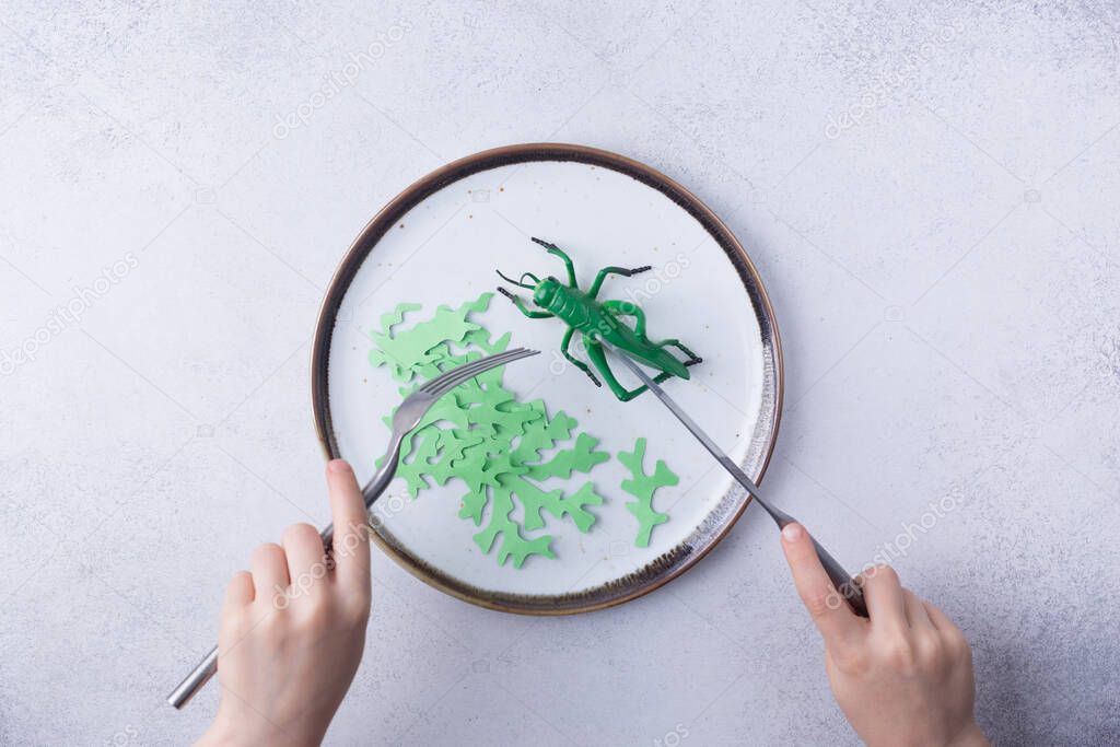 Comer grillos insectos y algas marinas en el plato. Alimentos Insectos ...