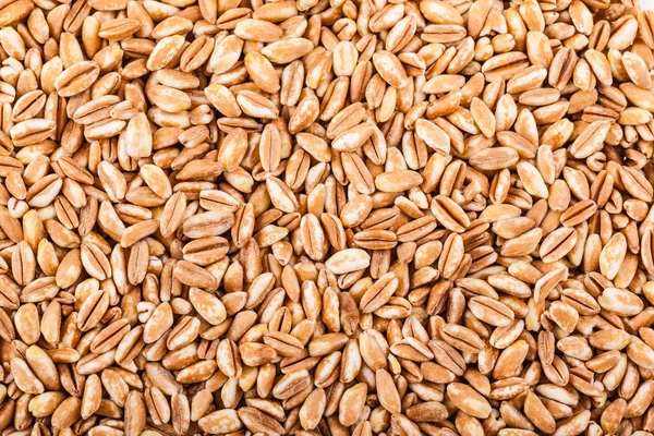Spelt production — Stock Photo © dlpn #52420359